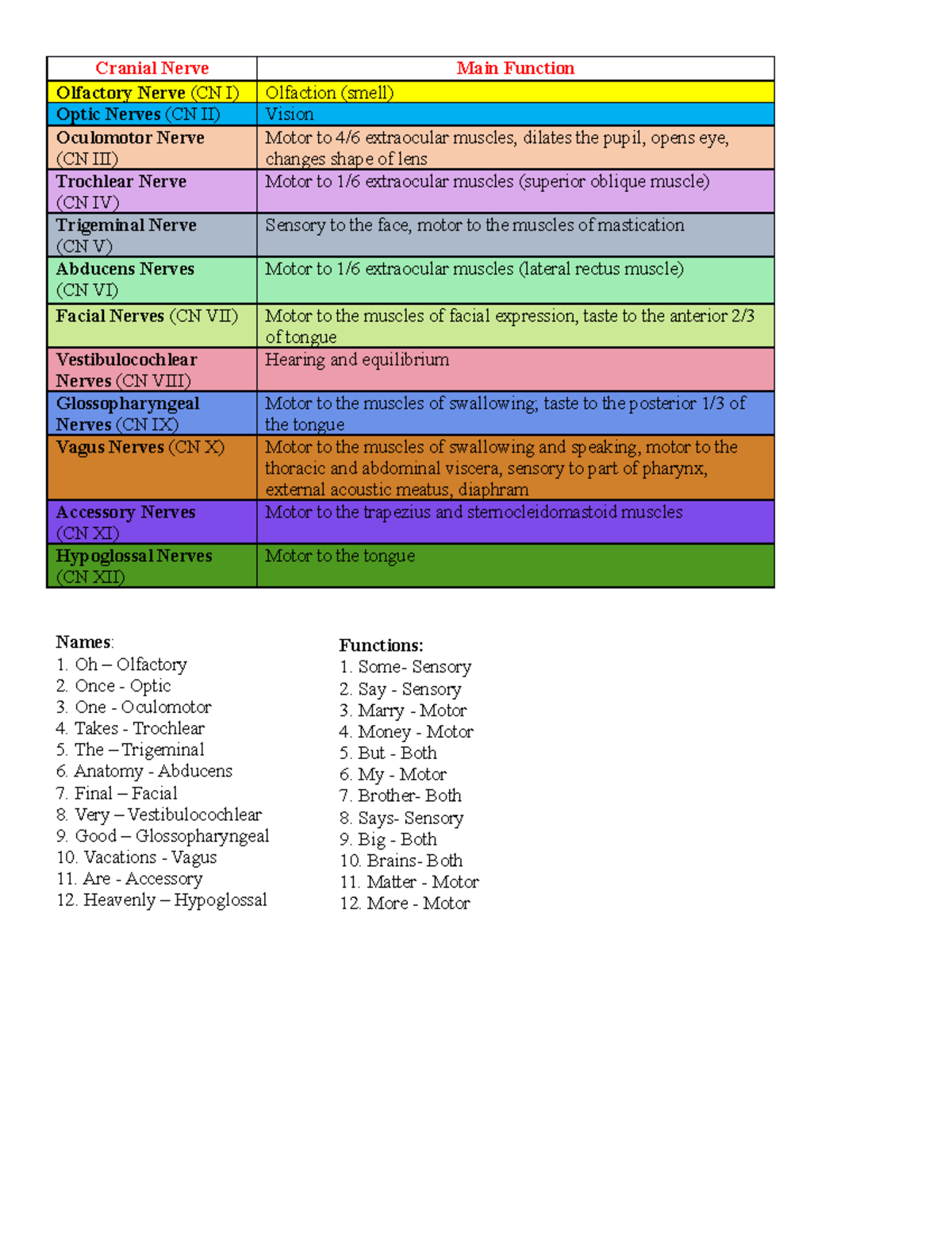 Brain and Cranial Nerves - Cranial Nerve Olfactory Nerve (CN I) Optic ...