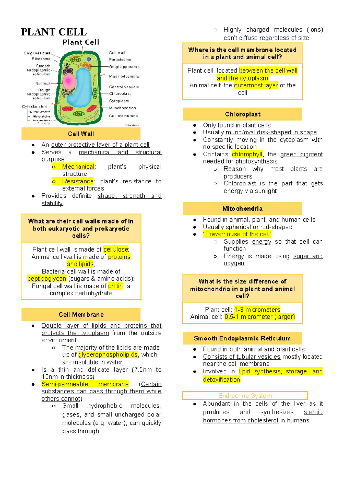 Notes-ABT-CELL - Notes - PLANT CELL Cell Wall An outer protective layer ...