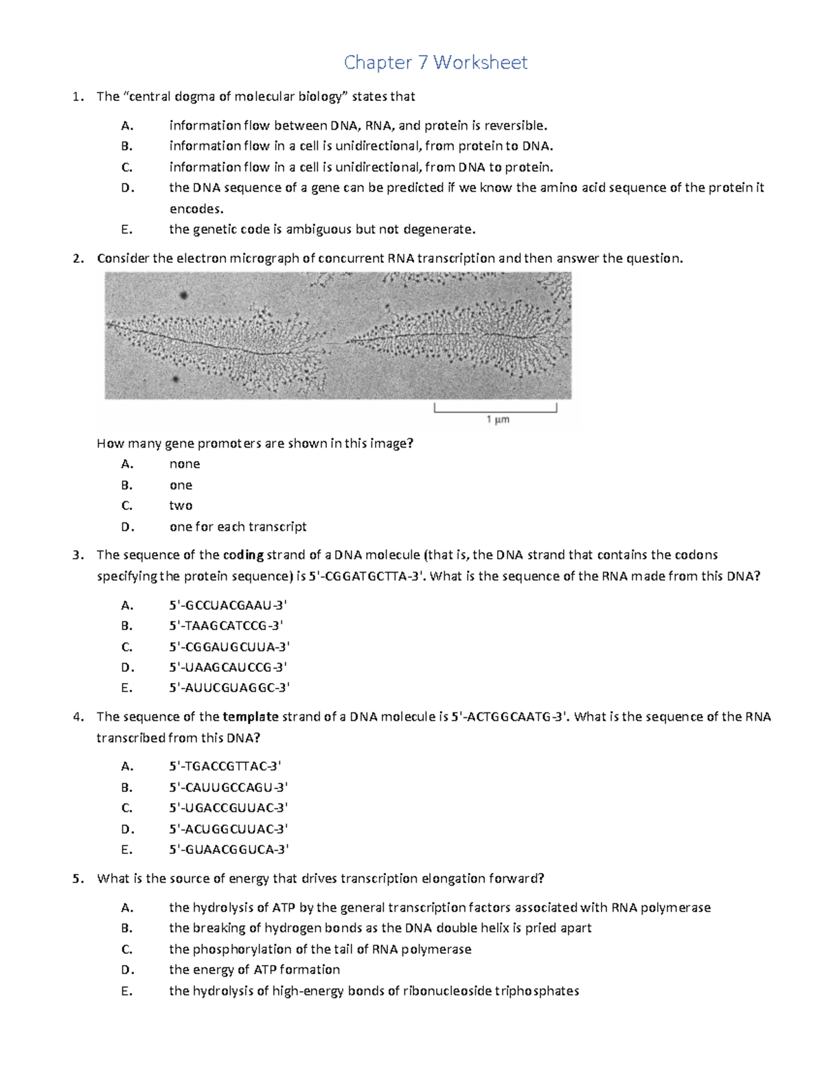 Chapter 7 Worksheet - Chapter 7 Worksheet The “central dogma of ...