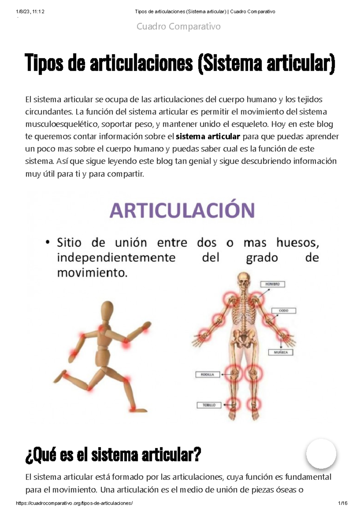 Tipos de articulaciones (Sistema articular) Cuadro Comparativo - Cuadro Comparativo Tipos de ...