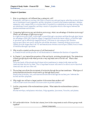 Chapter 5 study guide F23 - Chapter 5 Study Guide – Francis F23 Name ...