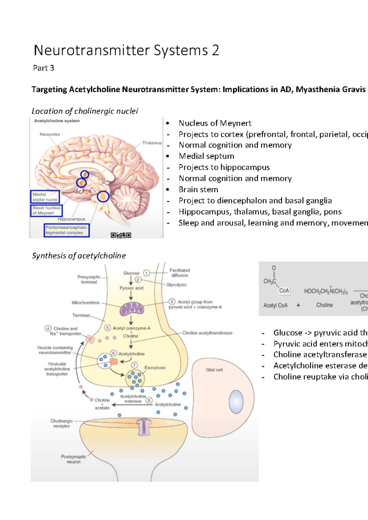 Neurotransmitter Systems 2 pt.3 - Part 3 Targeting Acetylcholine ...