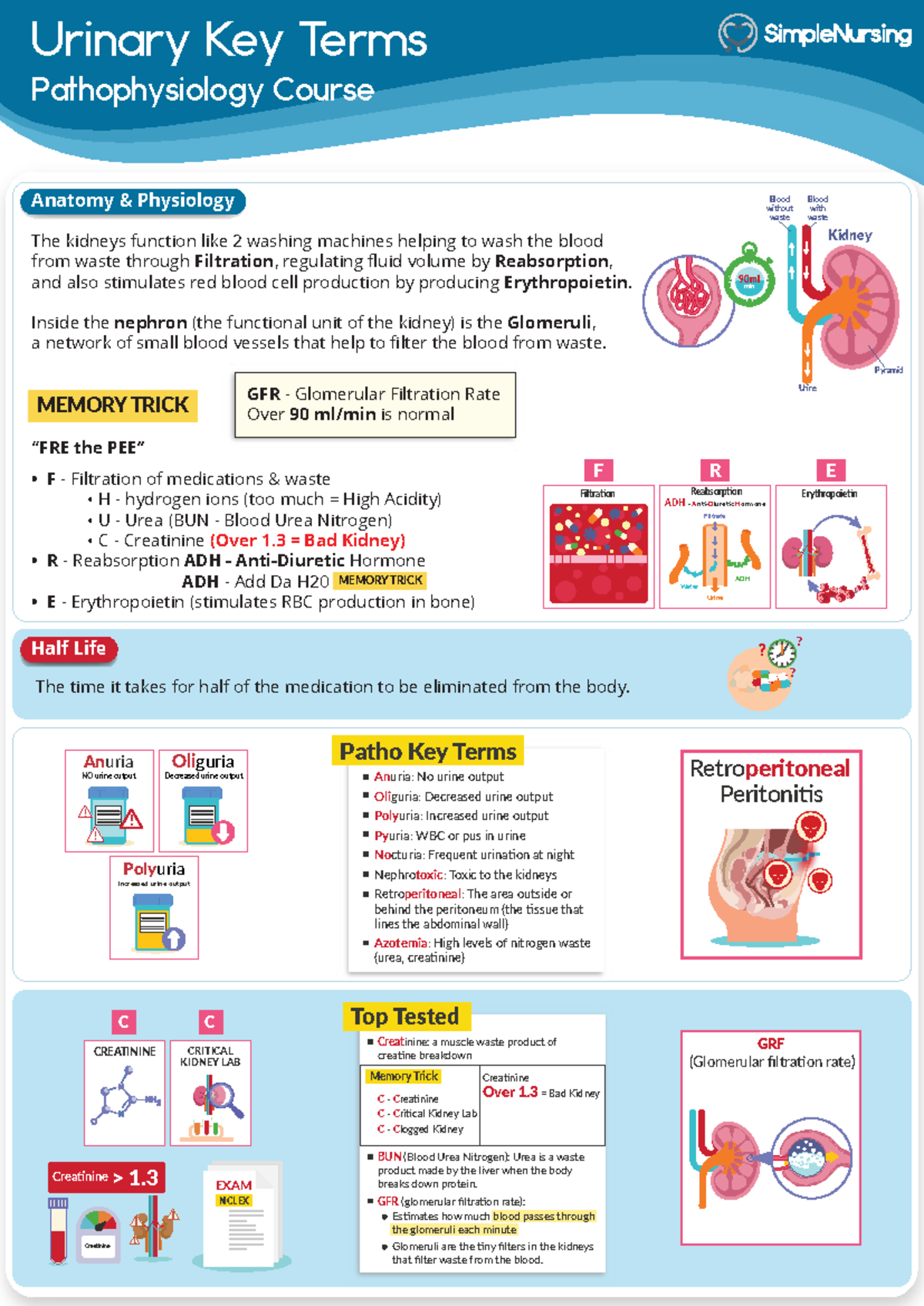1. Urinary Key Terms - Nursing school - Urinary Key Terms ...