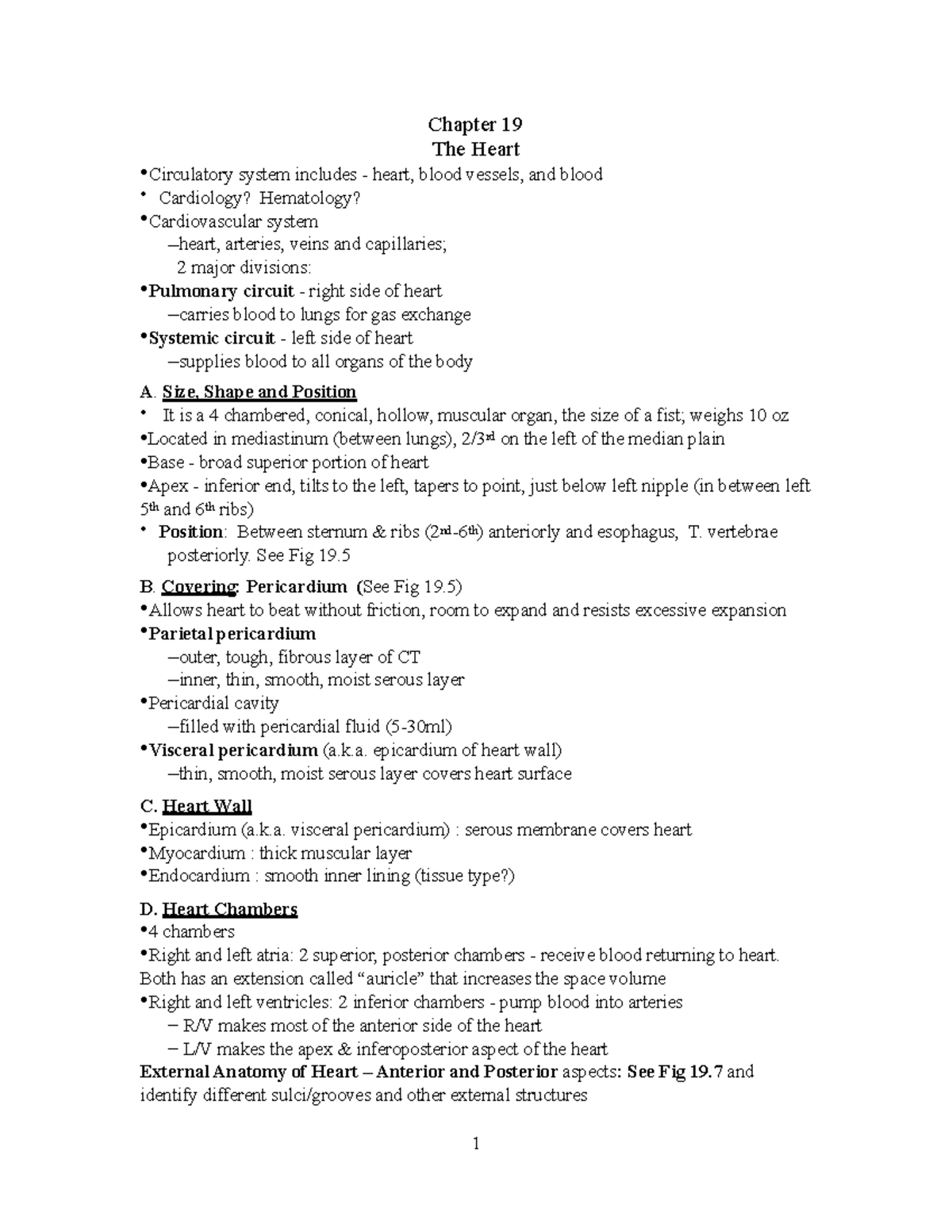 BSC2086 chap19 -Heart - cardio notes - Chapter 19 The Heart ...