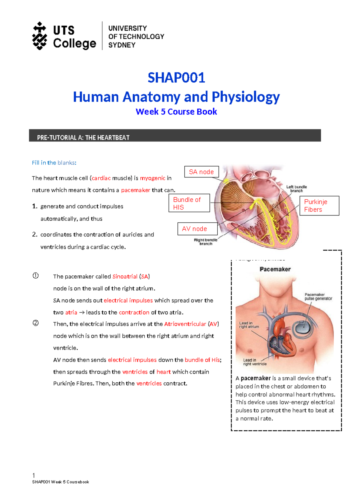 SHAP001 Week 5 Coursebook - SHAP Human Anatomy and Physiology Week 5 ...