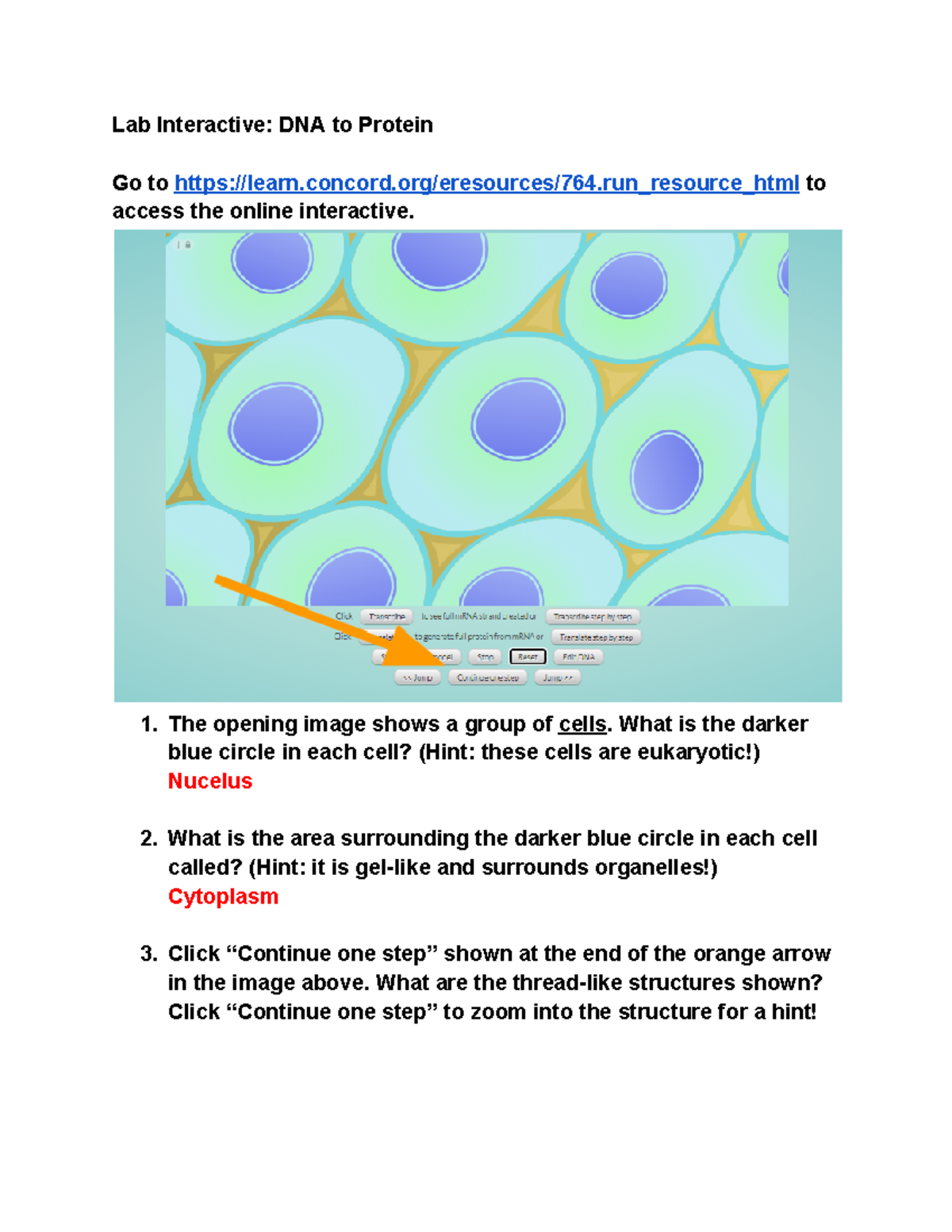 Lab Interactive DNA to Protein - concord/eresources/764.run_resource ...