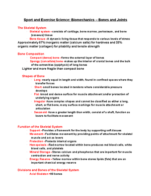 BTEC Revision Muscular System - BTEC Revision Guide Muscular System B1 ...