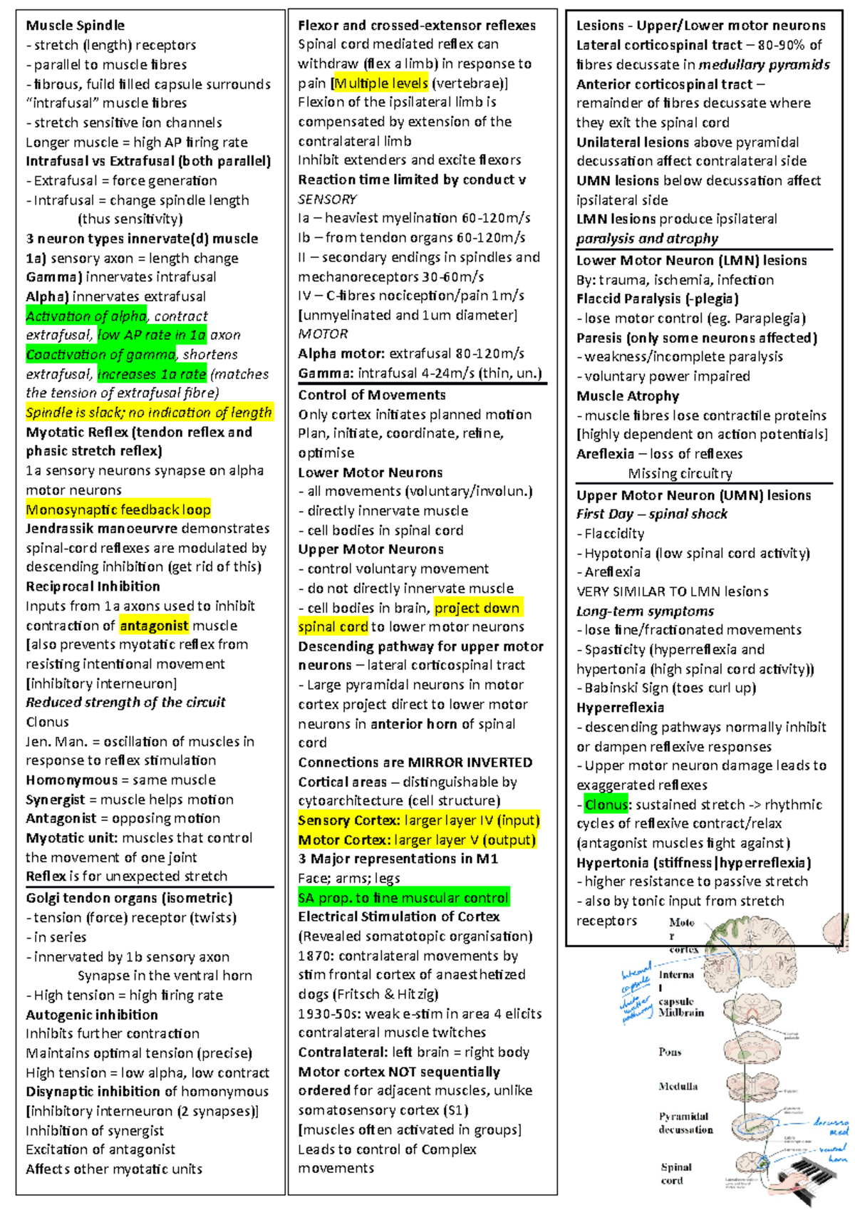 Quiz 3 - 6pg notes - Full Cheat Sheet to the specifications of the ...