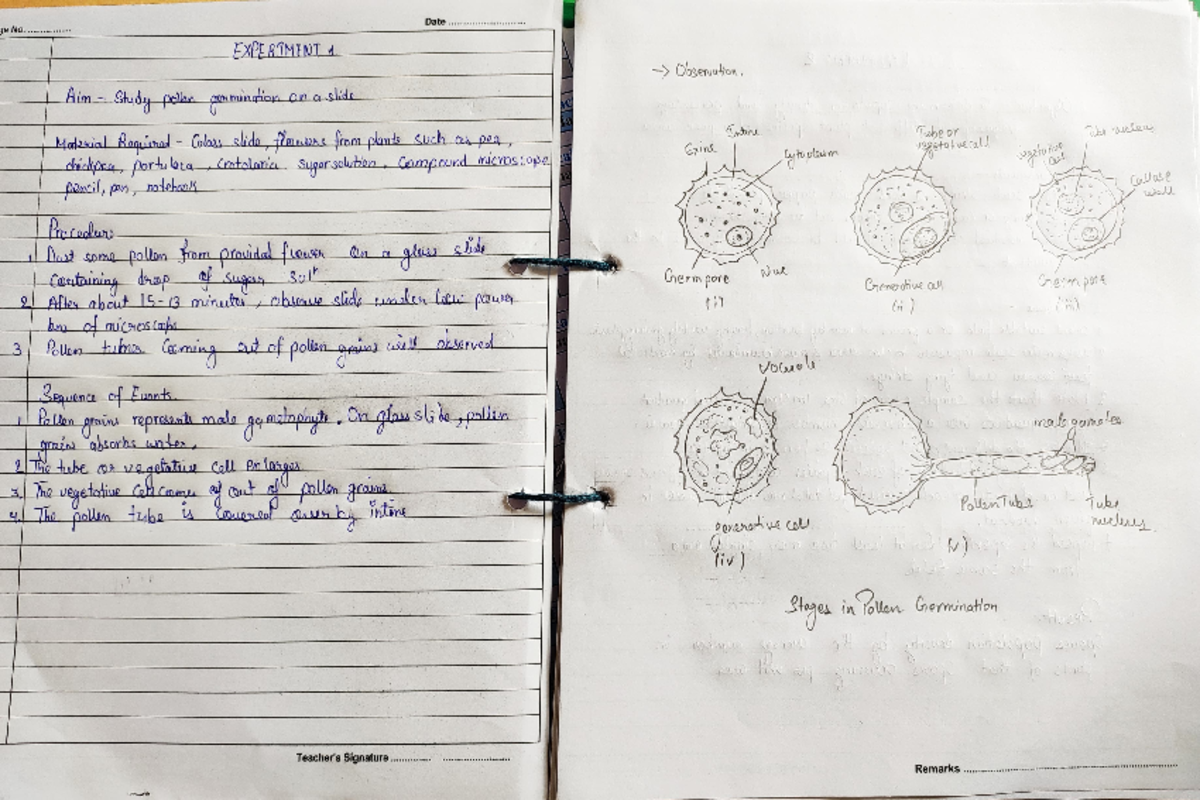 Bio notes - Biology - Studocu