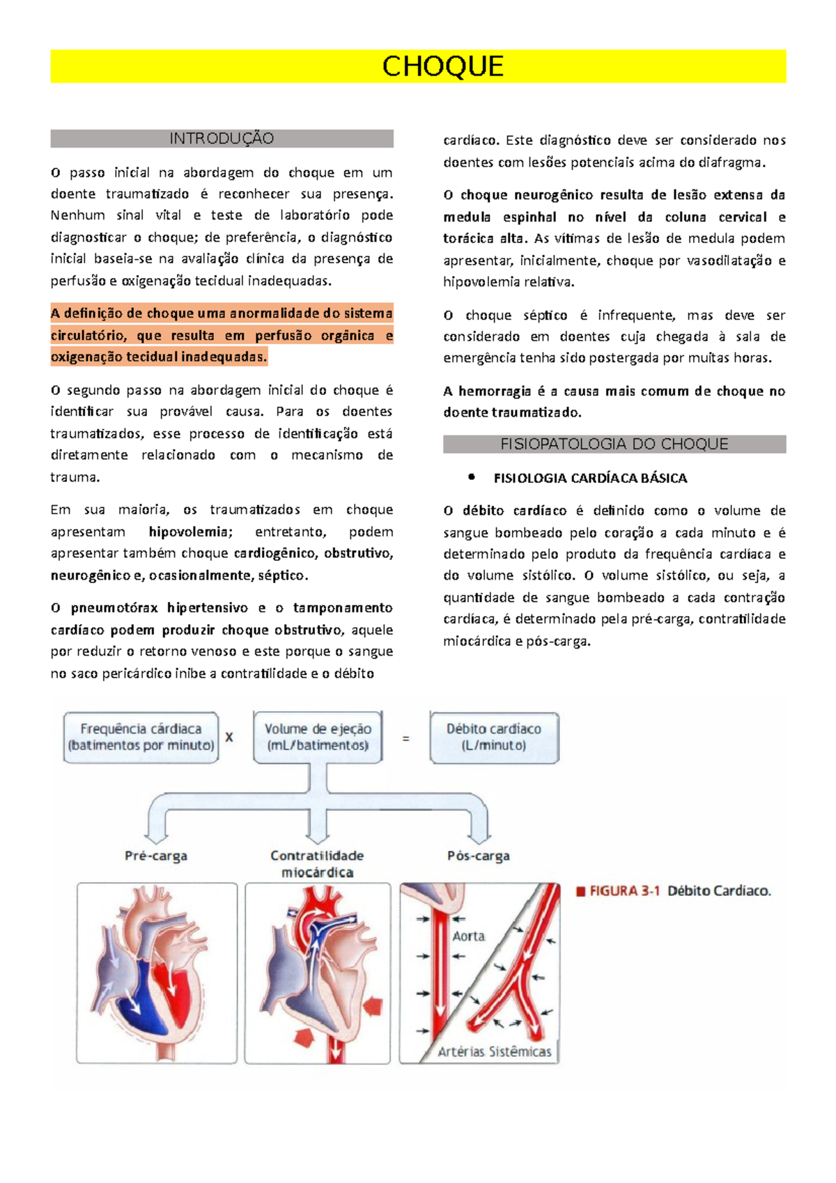 Choque - CHOQUE INTRODUÇÃO O passo inicial na abordagem do choque em um ...
