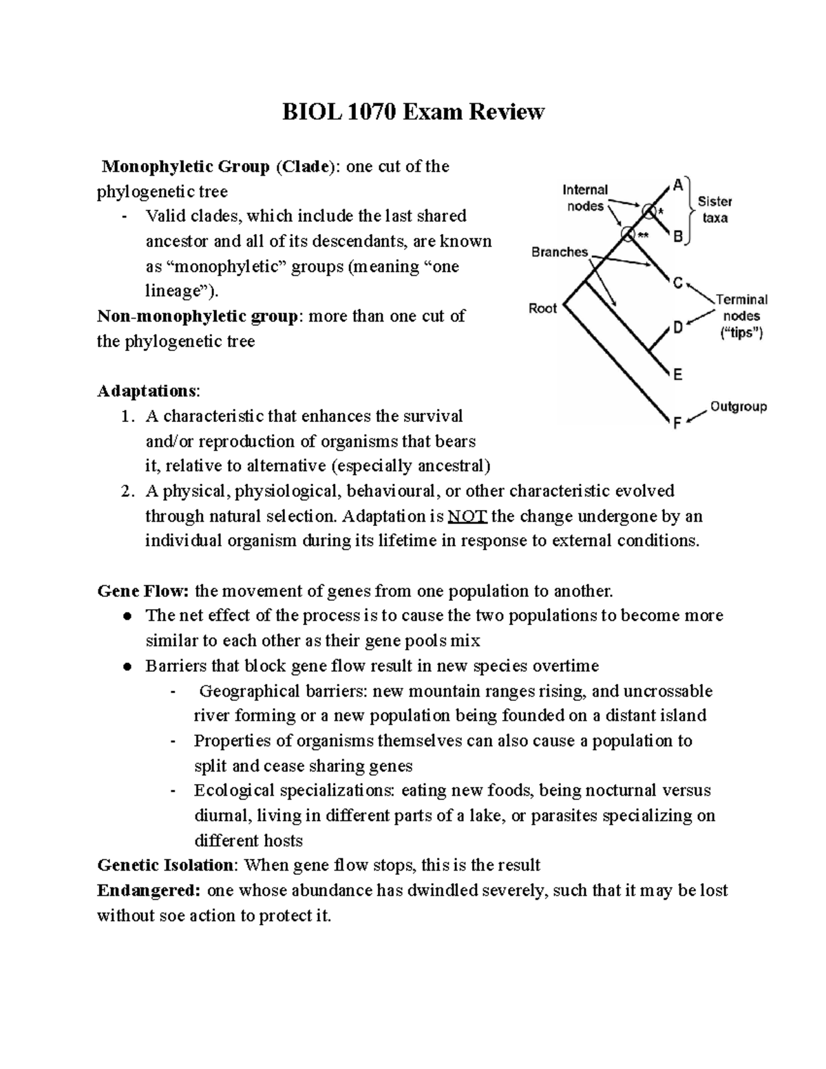 1070 Exam Review - BIOL 1070 Exam Review Monophyletic Group (Clade ...