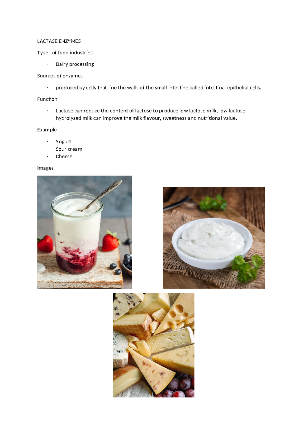 Lactase Enzymes - Biochemistry - LACTASE ENZYMES Types of food ...