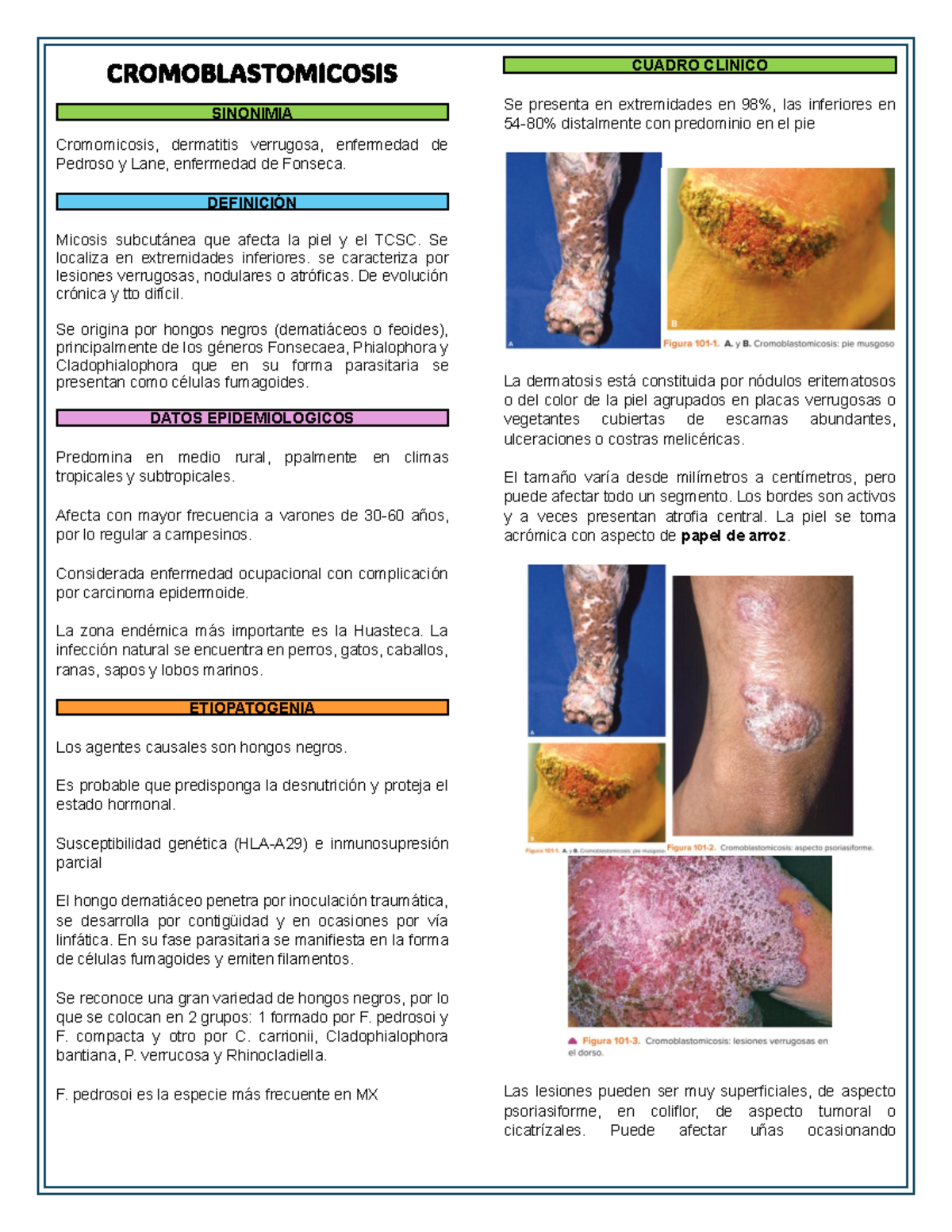 Cromoblastomicosis Dermatología Arenas - CROMOBLASTOMICOSIS SINONIMIA ...