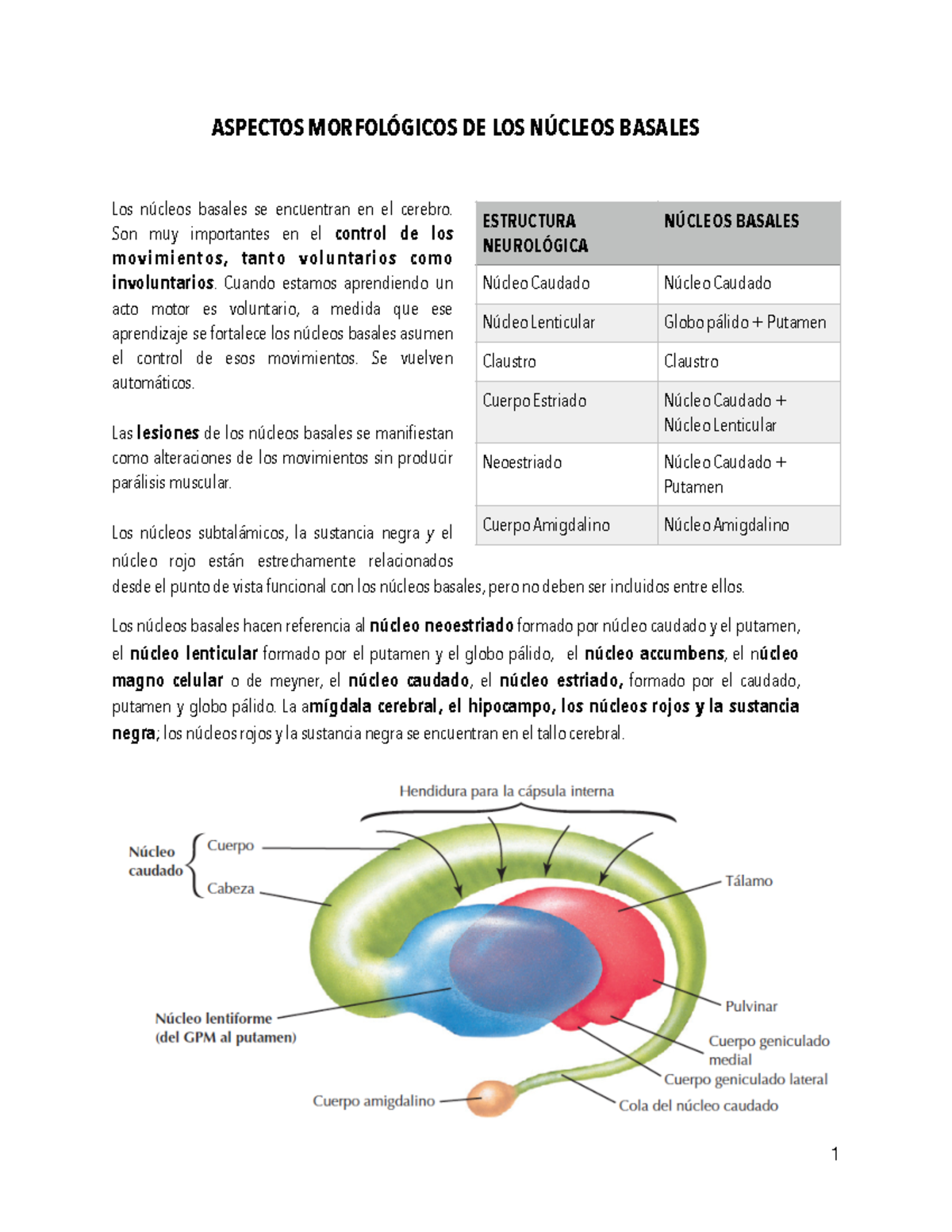 26. Fisiología DE LOS Núcleos Basales Y Cerebelo - ASPECTOS DE LOS ...