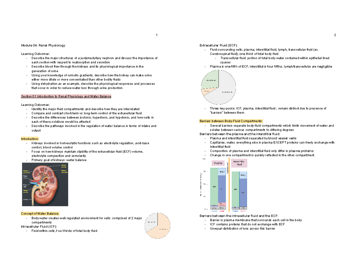 PHGY 216 module 4 notes - ModXle 04: Renal Ph\Violog\ Learning OXWcomeV ...