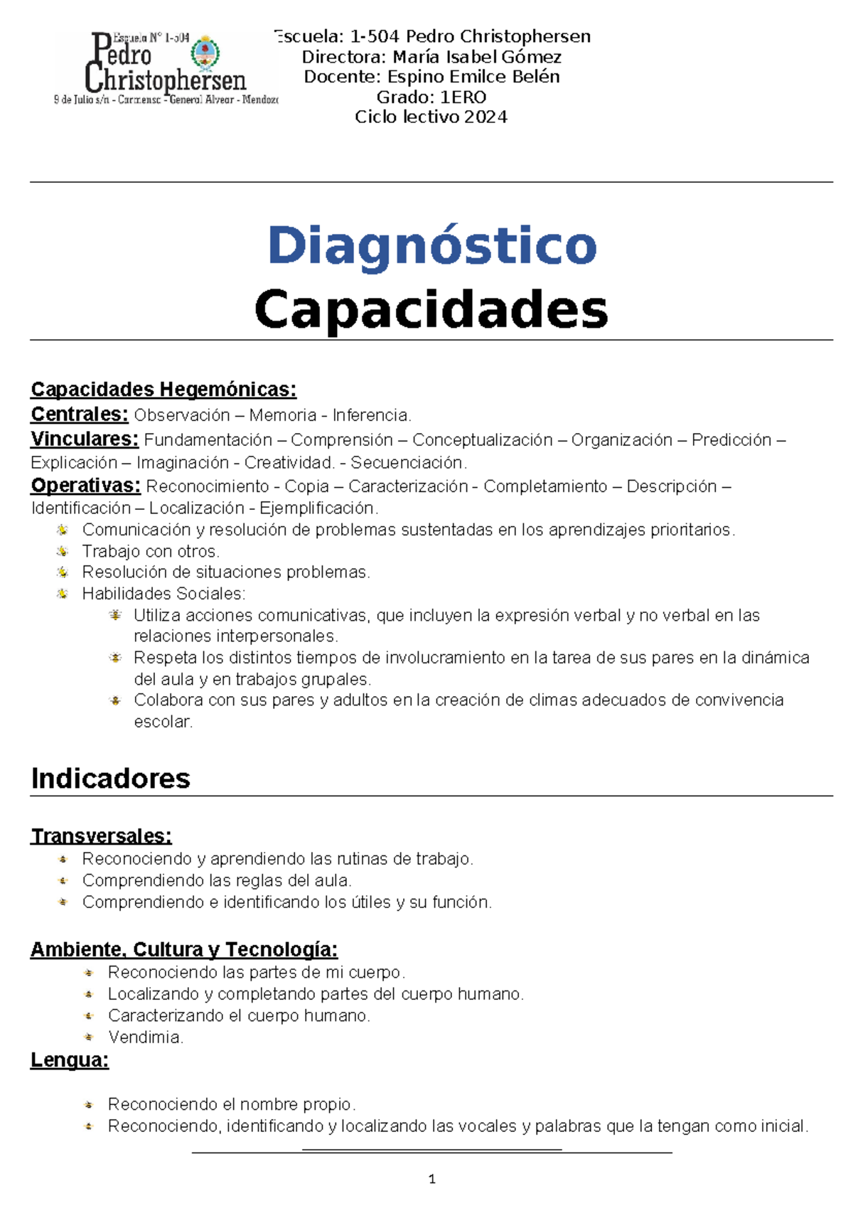 Plan Diagnóstico 2024 - diag - Escuela: 1-504 Pedro Christophersen ...