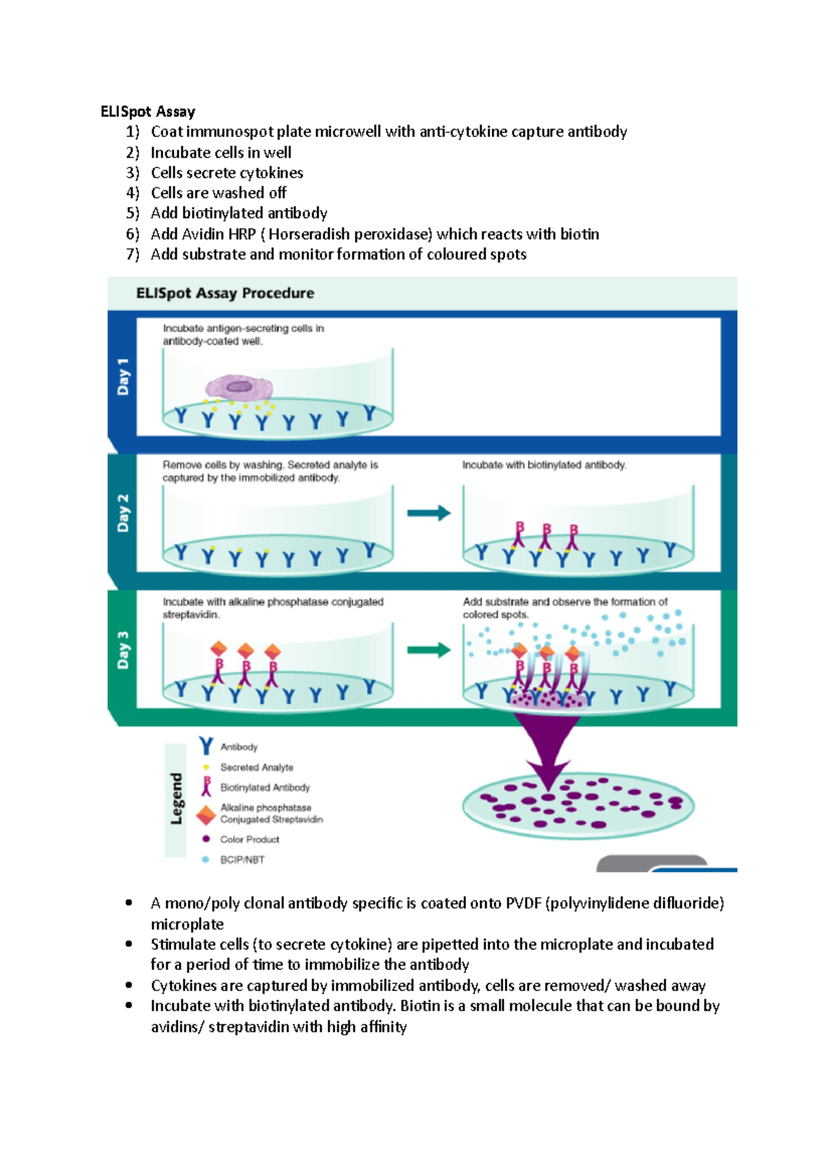 Elispot Assay notes - ELISpot Assay 1) Coat immunospot plate microwell ...