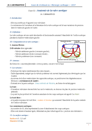1-os du crane - Summary Anatomie - OSTÉOLOGIE DE LA TÊTE Au niveau de ...