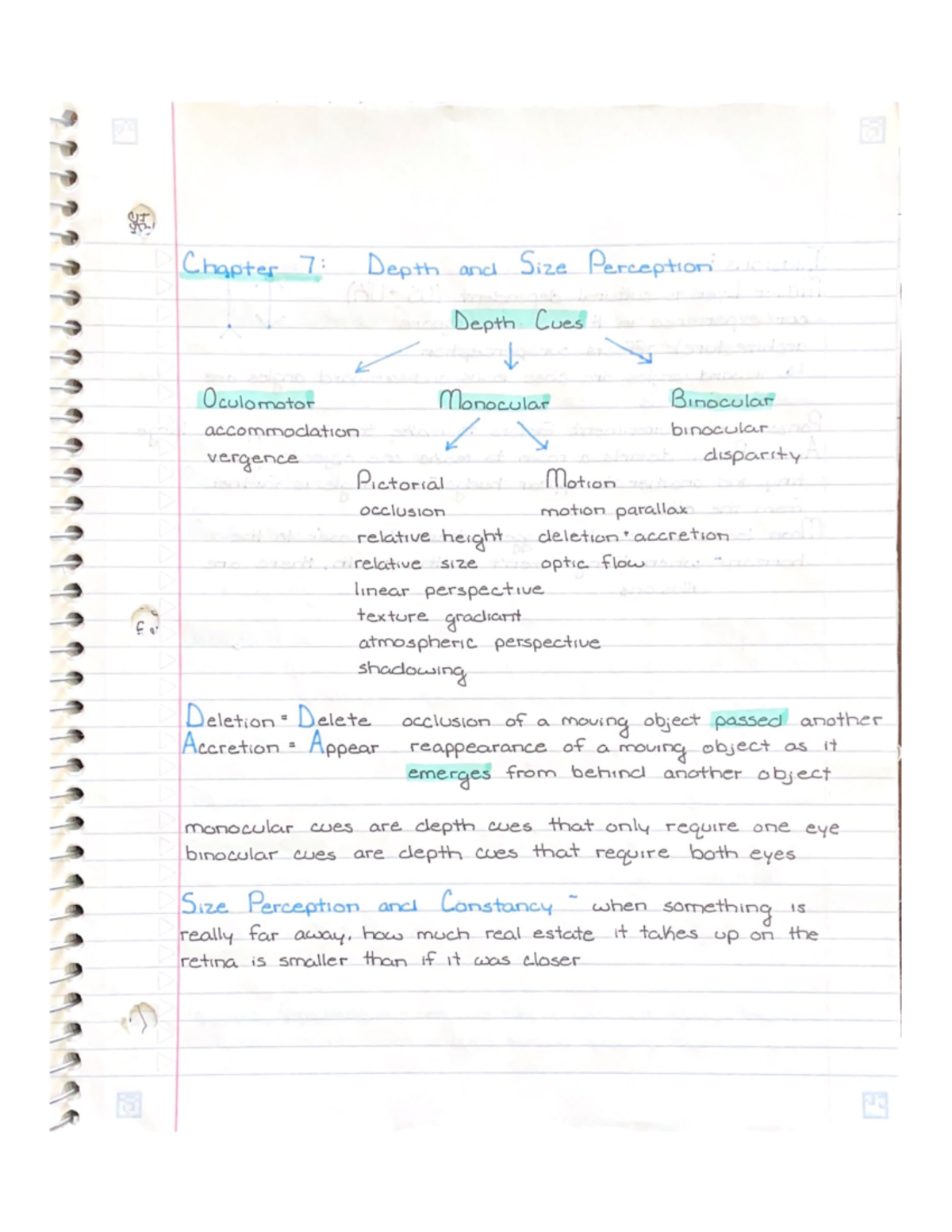 Sensation and Perception Notes and Vocabulary 2 - PSYC 233 - Studocu