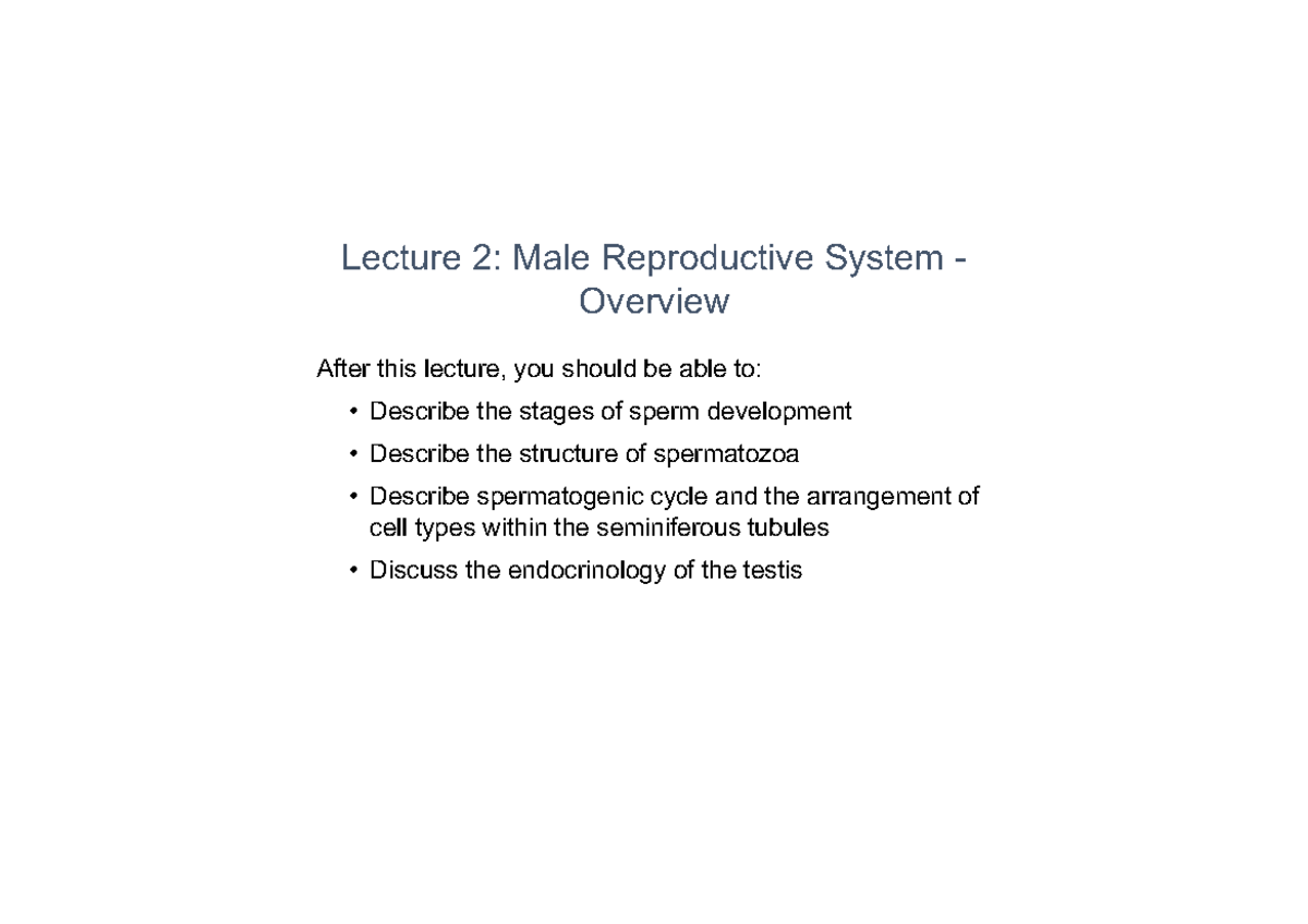 ANAT Repro L4 - Lecture 2: Male Reproductive System - Overview After ...