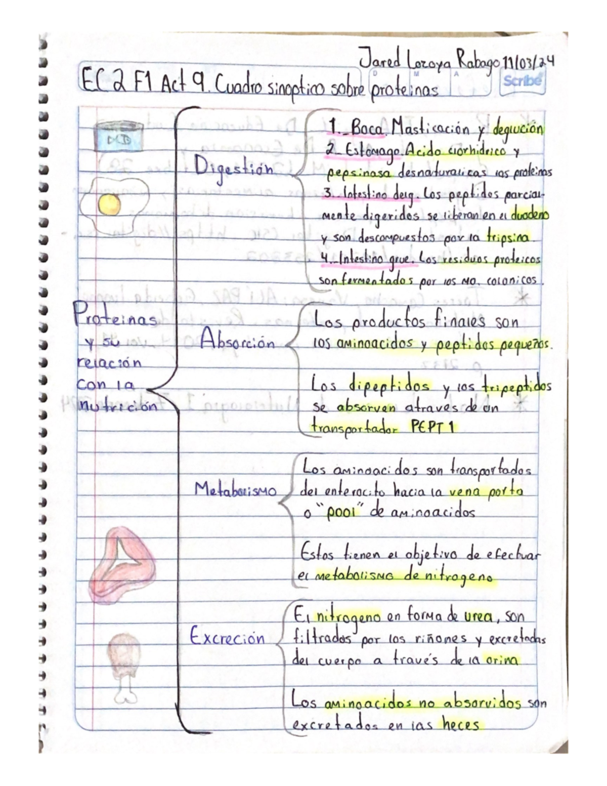 Actividad 9 de Nutriologia - NUC02A2 - Studocu