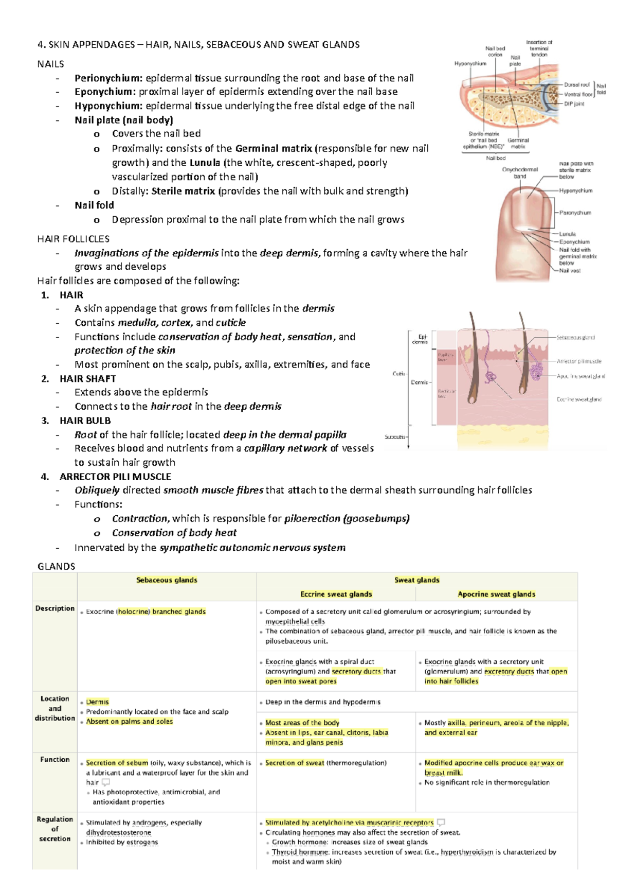 4 - Grade: 6 - 4. SKIN APPENDAGES – HAIR, NAILS, SEBACEOUS AND SWEAT ...