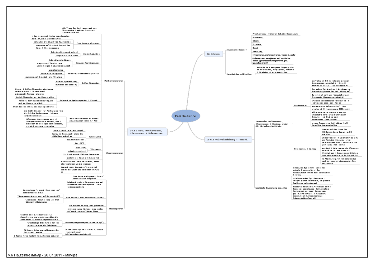 Zusammenfassung - Hautsinne Mindmap - - Studocu