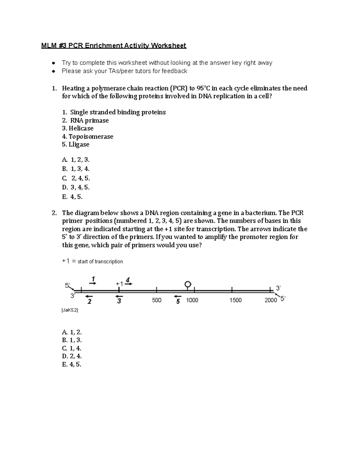 MLM3 Enrichment Activity - MLM #3 PCR Enrichment Activity Worksheet Try ...