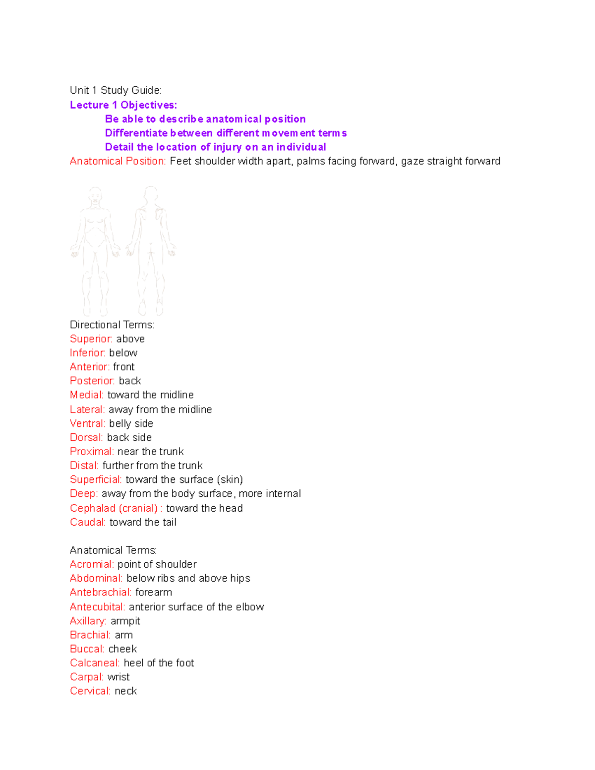 Anatomy Group 1 Unit 1 summary and questions ( Rename) - Unit 1 Study ...