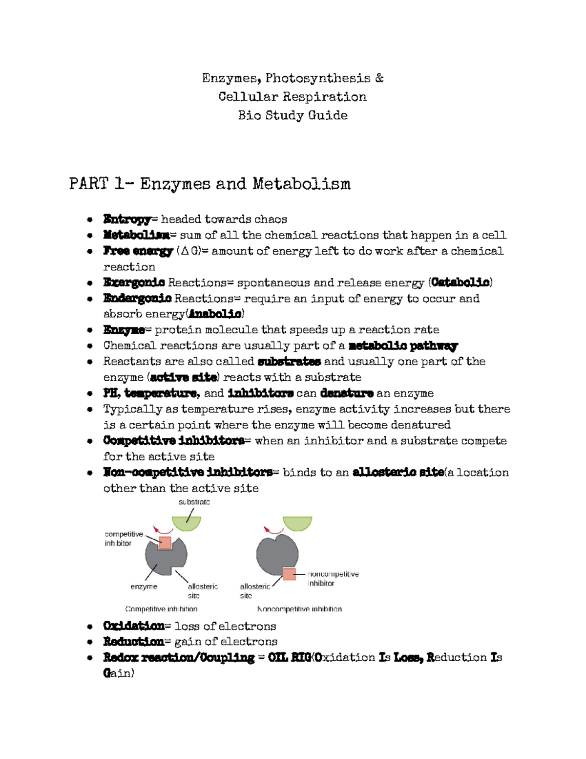 Enzymes+Cellular Respiration Study Guide - Enzymes, Photosynthesis ...