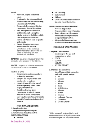 Strasinger Outline (Chapters 2-4) - Chapter 2 - Intro to Urinalysis A ...