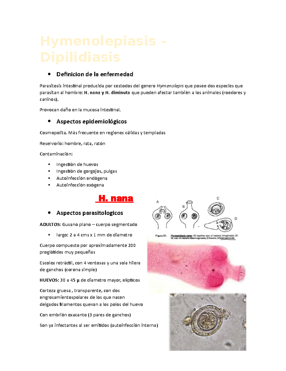 Hymenolepiasis y dipilidiasis - Hymenolepiasis – Dipilidiasis ...