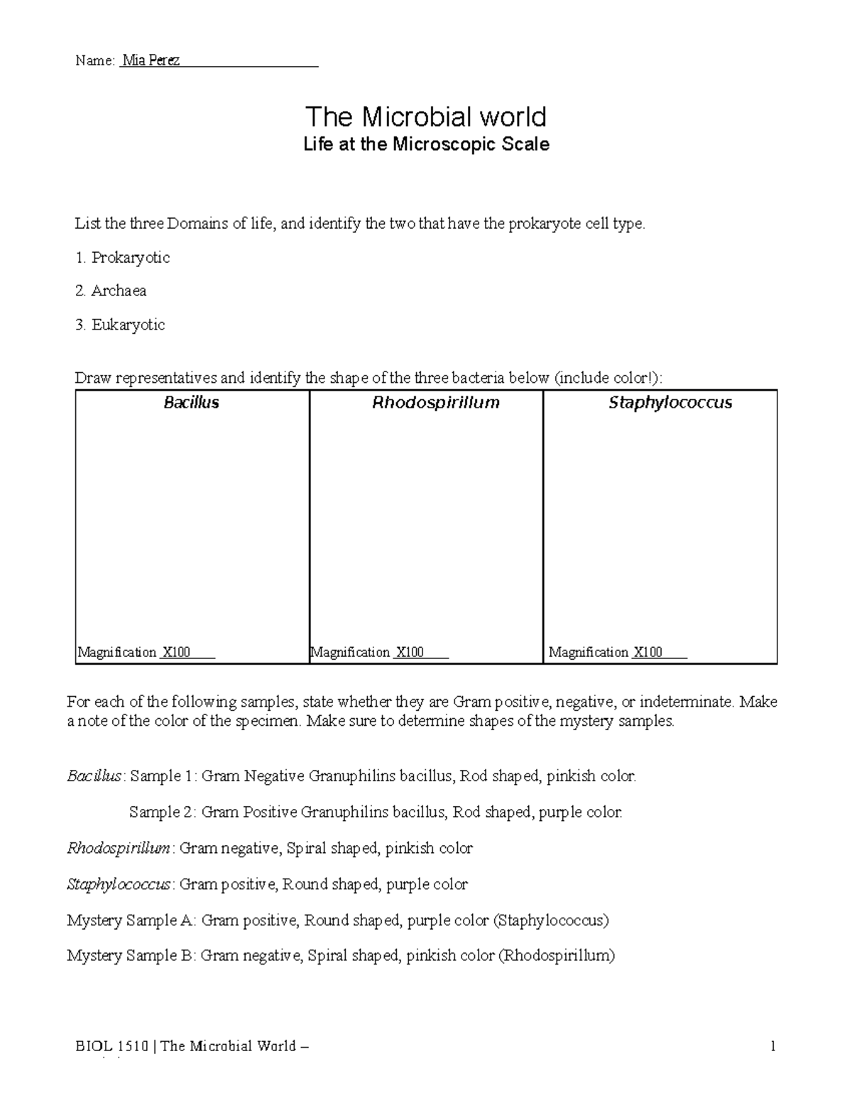 Microbial World Worksheet - Name: Mia Perez The Microbial world Life at ...