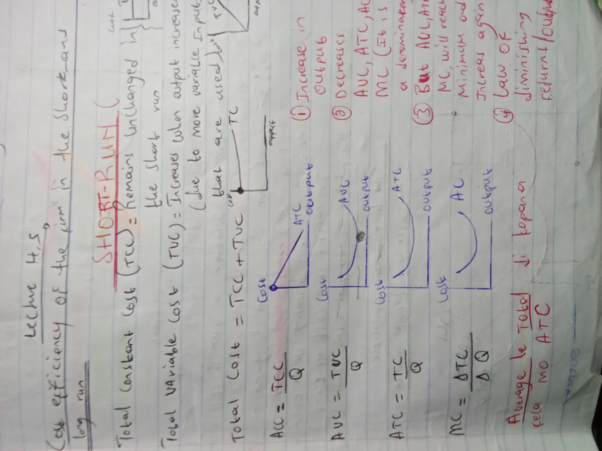 Cost efficiencies of the firm in the long run and short run - Eco100 ...