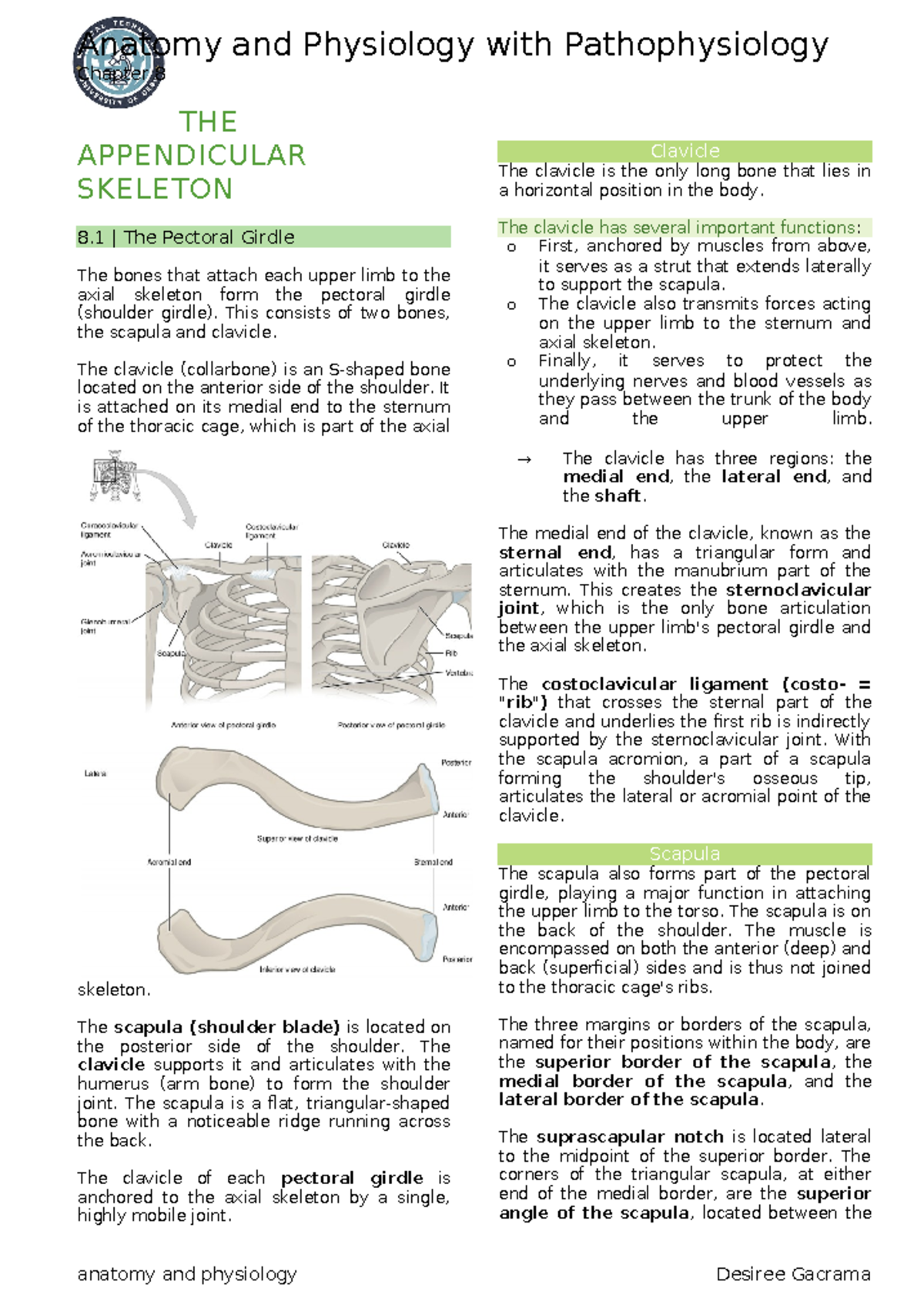 Inbound 1465986973350714908 - Chapter 8 THE APPENDICULAR SKELETON 8 ...