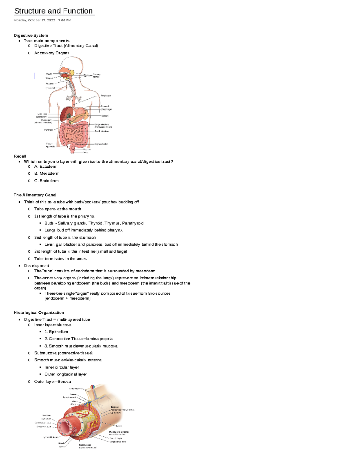 The Digestive System - Structure and Function Monday, October 17, 2022 ...