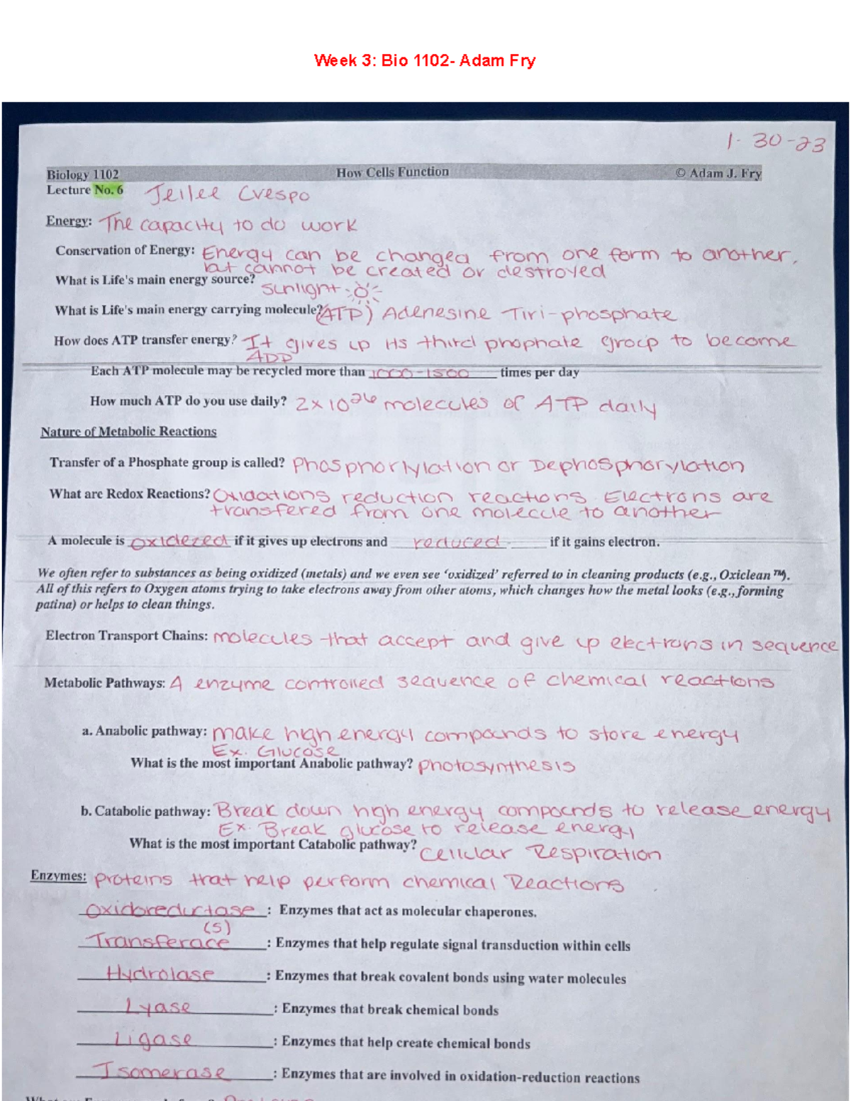 Week 3 Bio 1102- Adam Fry - BIOL 1102 - Week 3: Bio 1102- Adam Fry Week ...