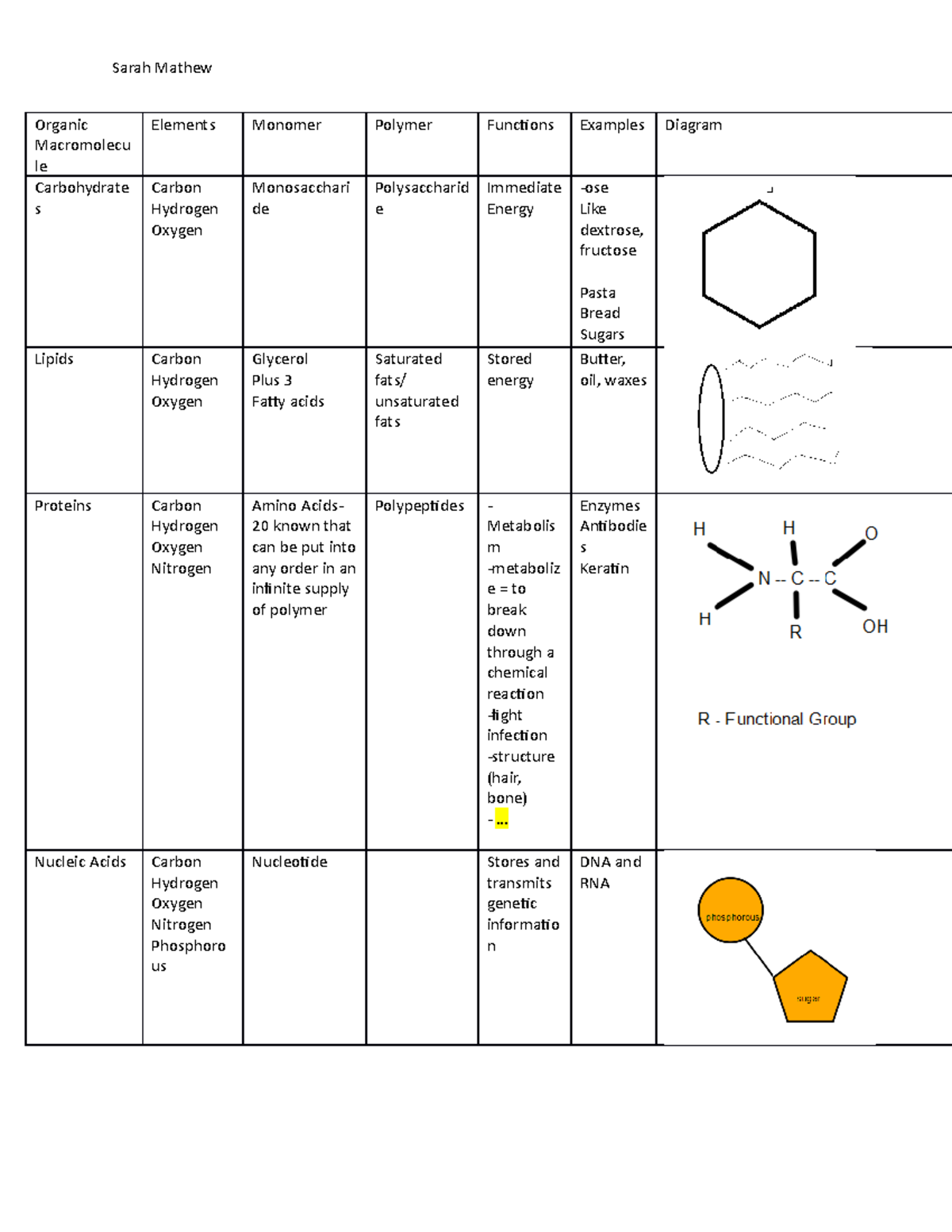 Macromolecule Table: notes of specific macromolecules - Sarah Mathew ...