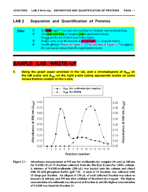 Lab 1 Amino Acid Write-Up - Taliya Reyes - Molecular properties of amino acids Lab 1: Amino ...
