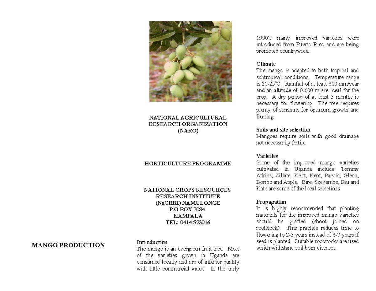 Mango Production - Aaron Chemicals - Corporate strategy - MUK - Studocu