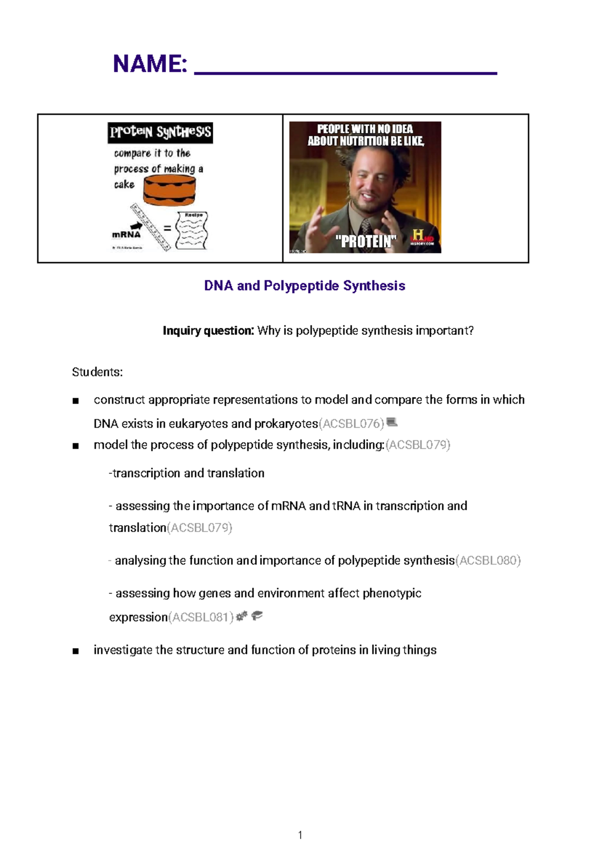 5.3 - DNA and Polypeptide Synthesis - NAME ...