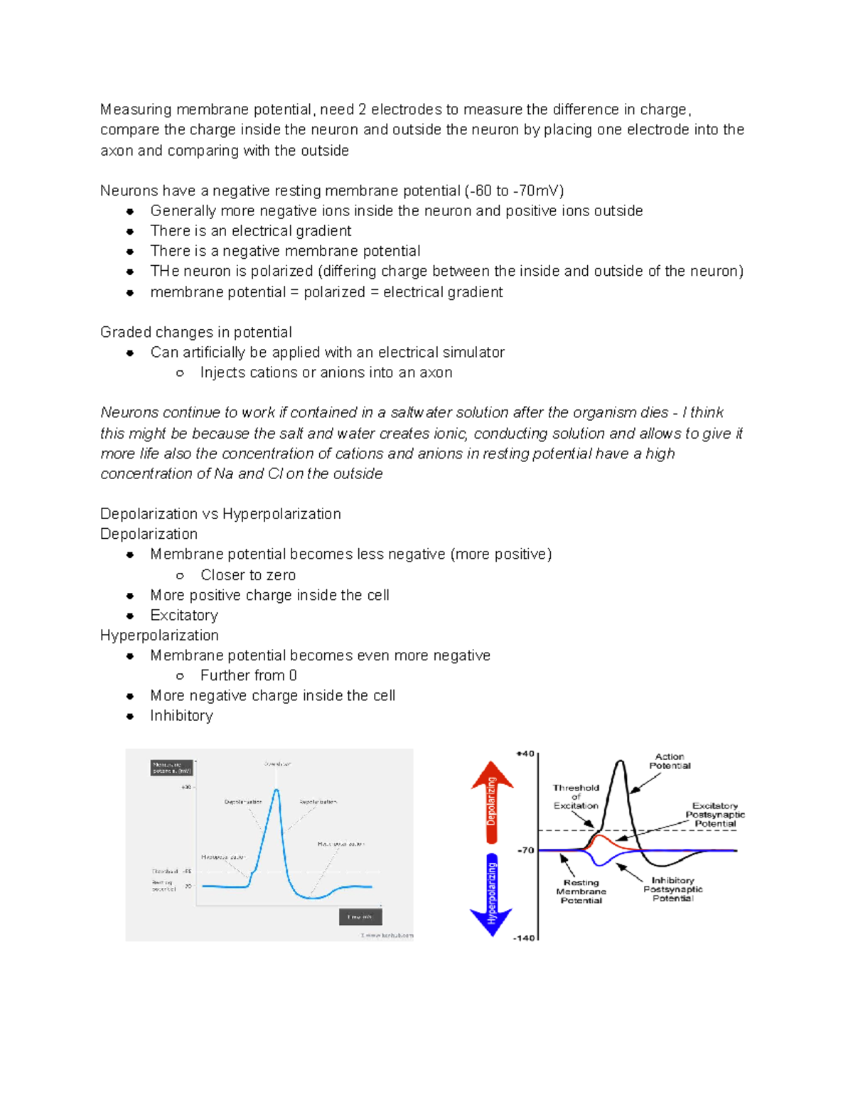 neurons and membrane potential and stuff - Measuring membrane potential ...