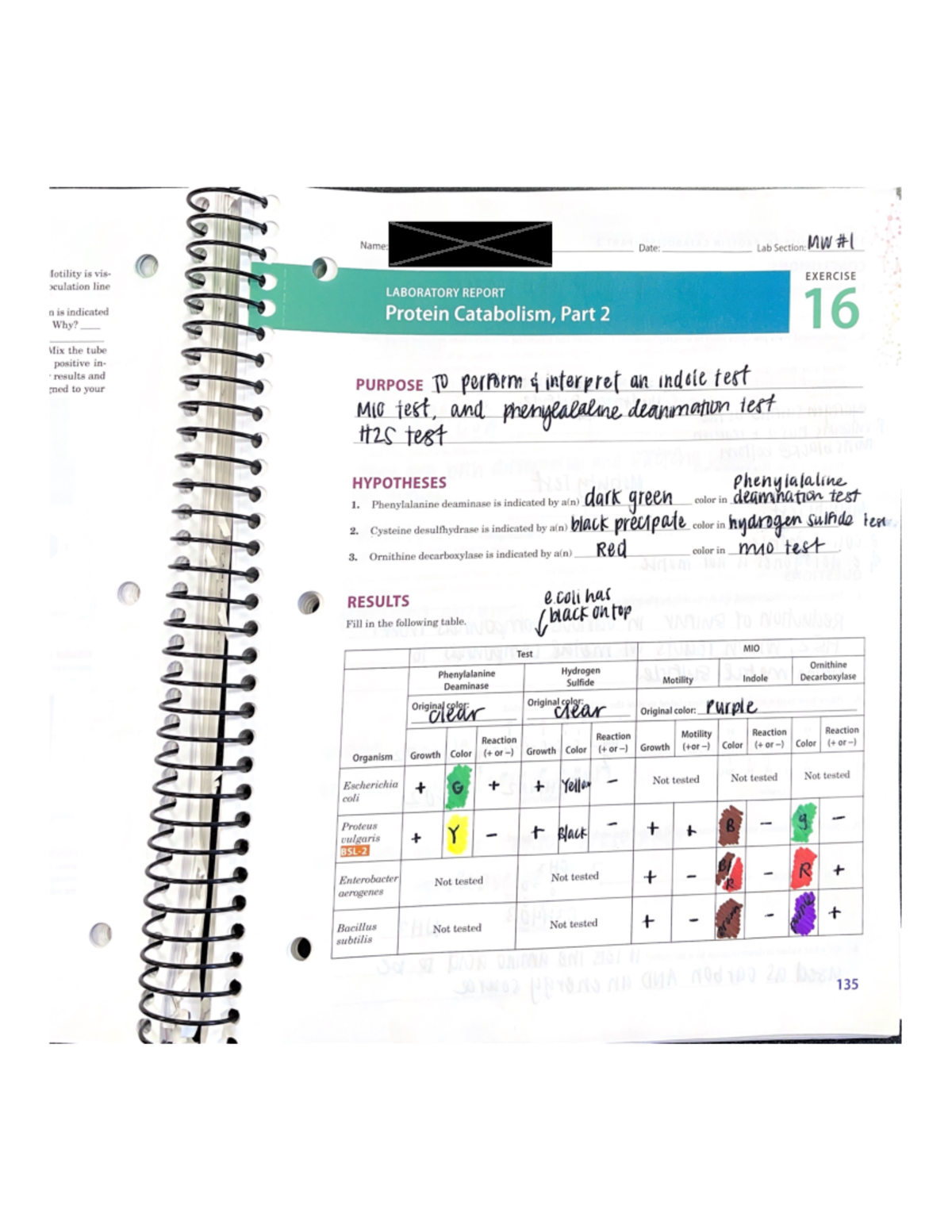 Lab 16 Protein Catabolism, Part 2 - Name: Date: Lab Section: Motility is EXERCISE oculation line ...