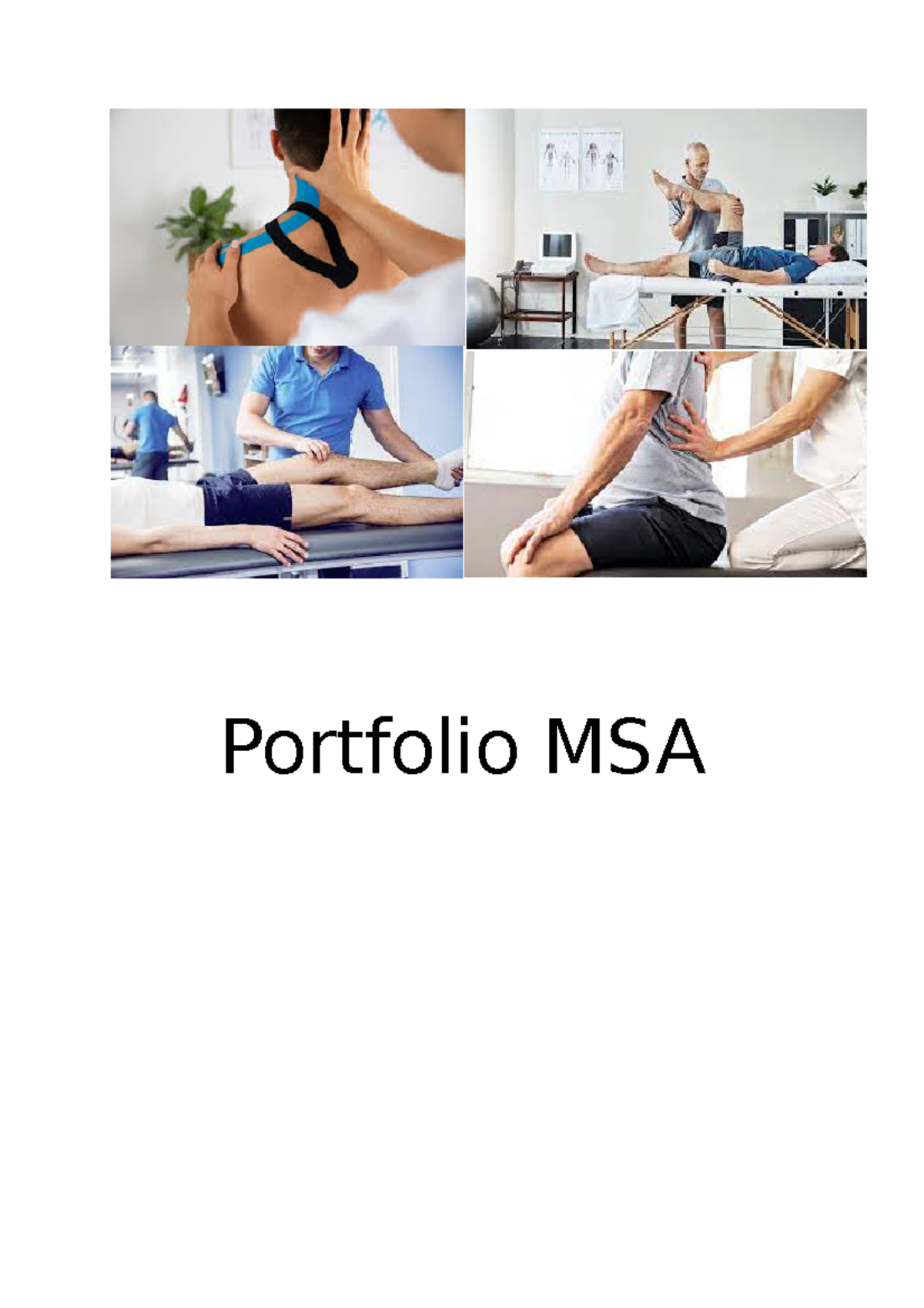 Portfolio MSA online - Voorbeeld van het MSA verslag voor toelating tot ...
