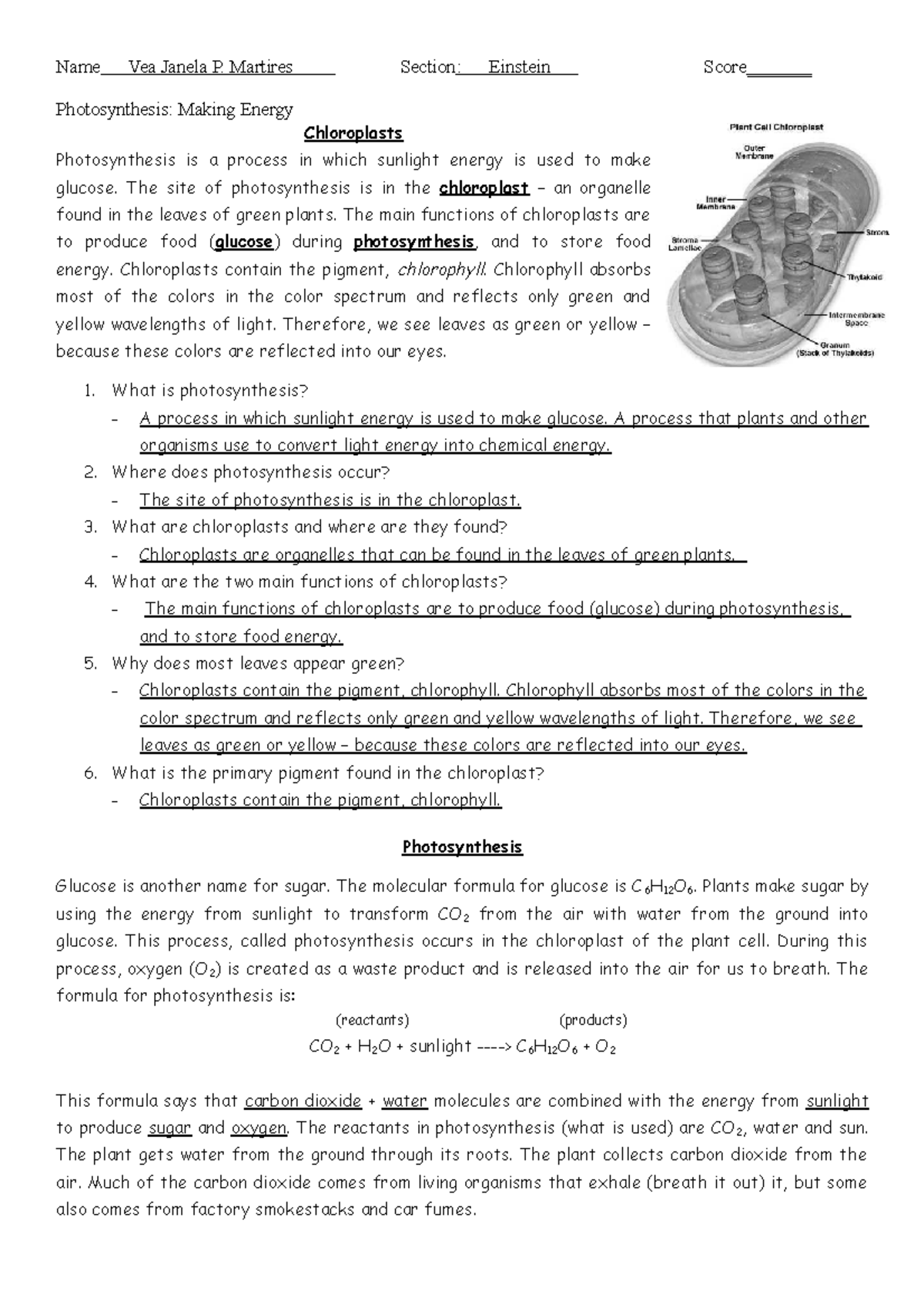 Photosynthesis-and-Respiration - Photosynthesis: Making Energy ...