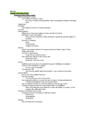 Bio 102. Ch14 Notes - Bio 102 Chapter 14 The Digestive System Gluten ...