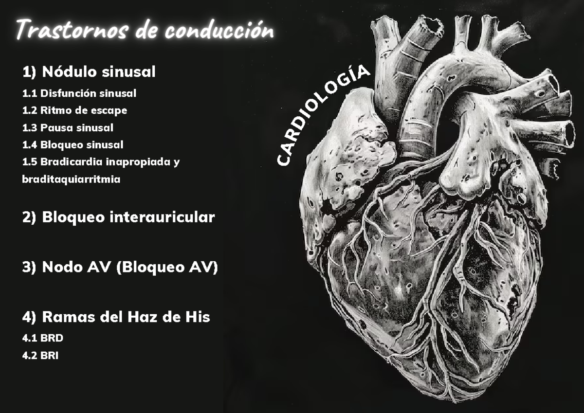 Cardiologia 20241123 213529 0000 - ####### 1) Nódulo sinusal 1 ...