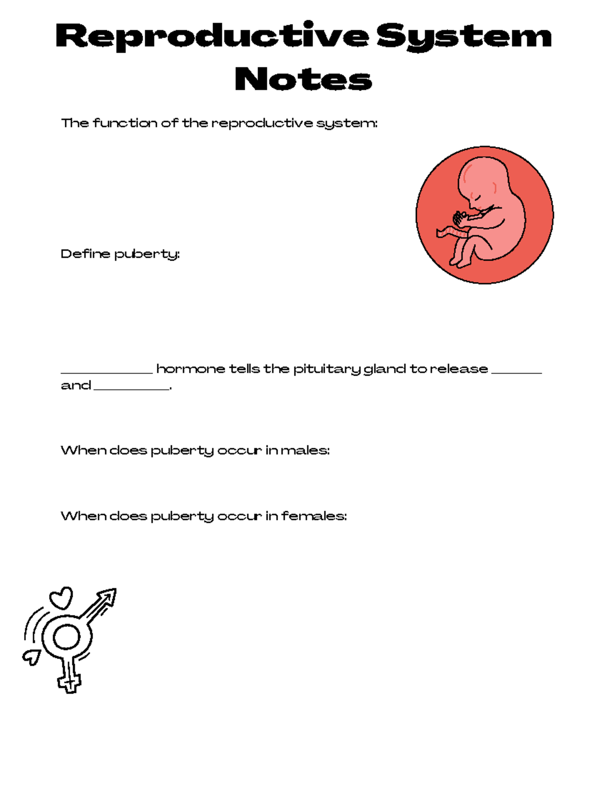 Reproductive System Notes - Reproductive System Notes The function of ...