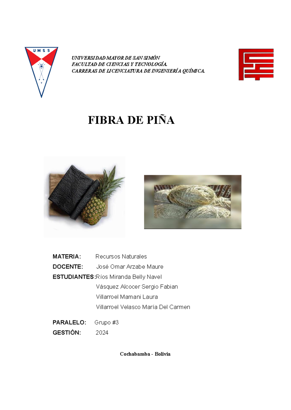 Fibradepia Rrnng 12-2024 - UNIVERSIDAD MAYOR DE SAN SIMÓN FACULTAD DE ...