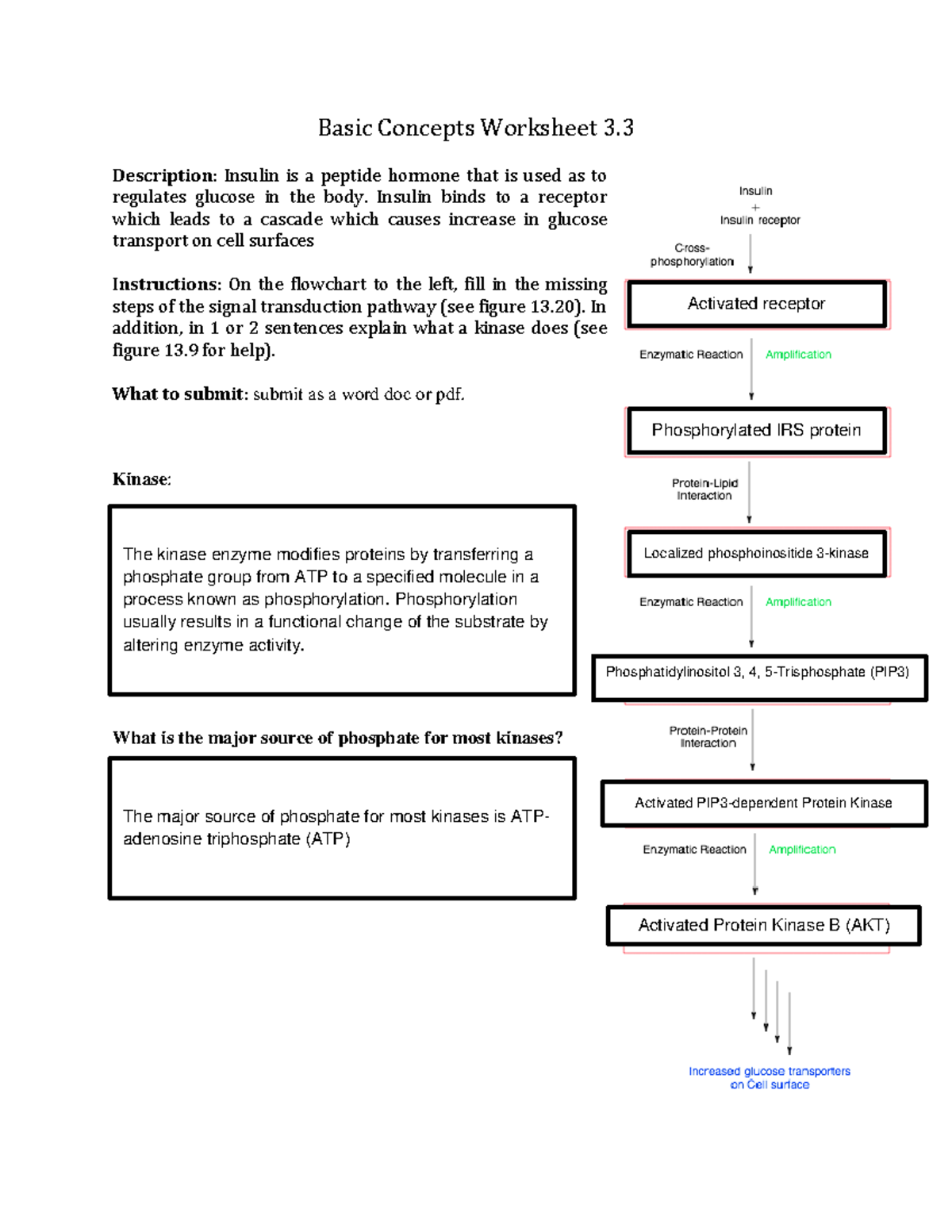 Basic Concept worksheet 3 - Basic Concepts Worksheet 3. Description ...